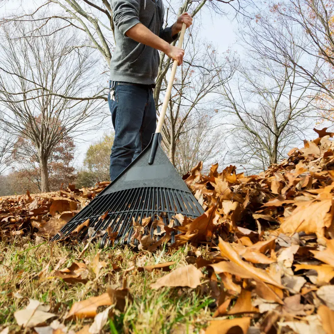 Professional Fall Cleanup Services | Andrew's Lawn and Snow